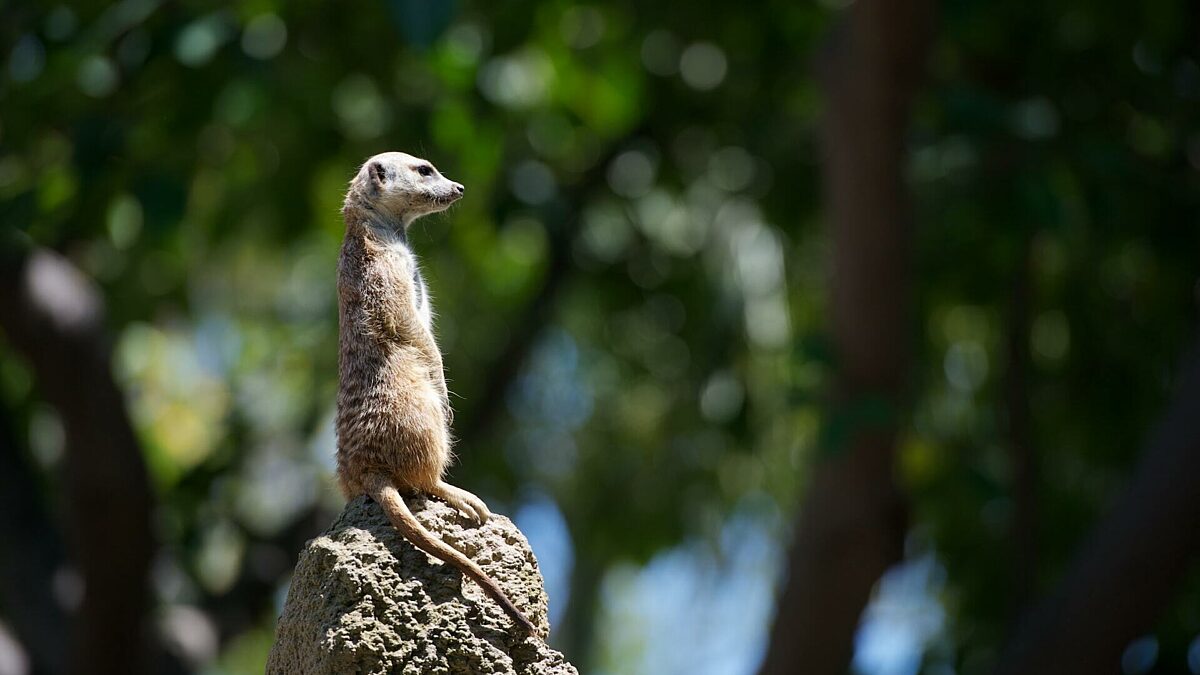 What to Expect on Your First Year as a Medical Resident - MedResidency