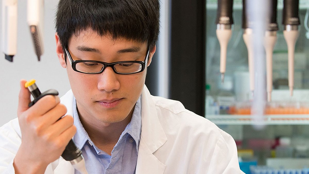 Pediatric Pathology Fellowship - The George Washington University ...