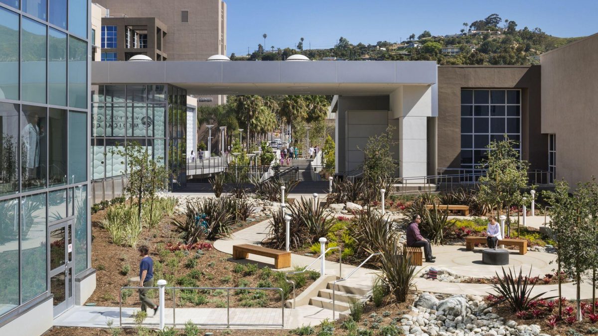 Brookdale University Hospital and Medical Center - MedResidency