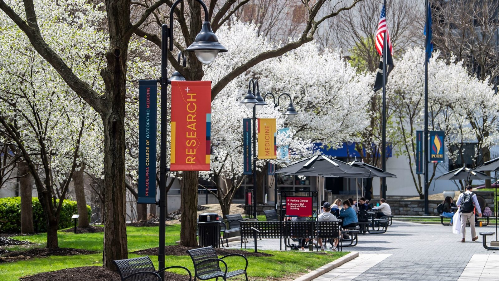 Residency & Fellowship at Philadelphia College of Osteopathic Medicine ...