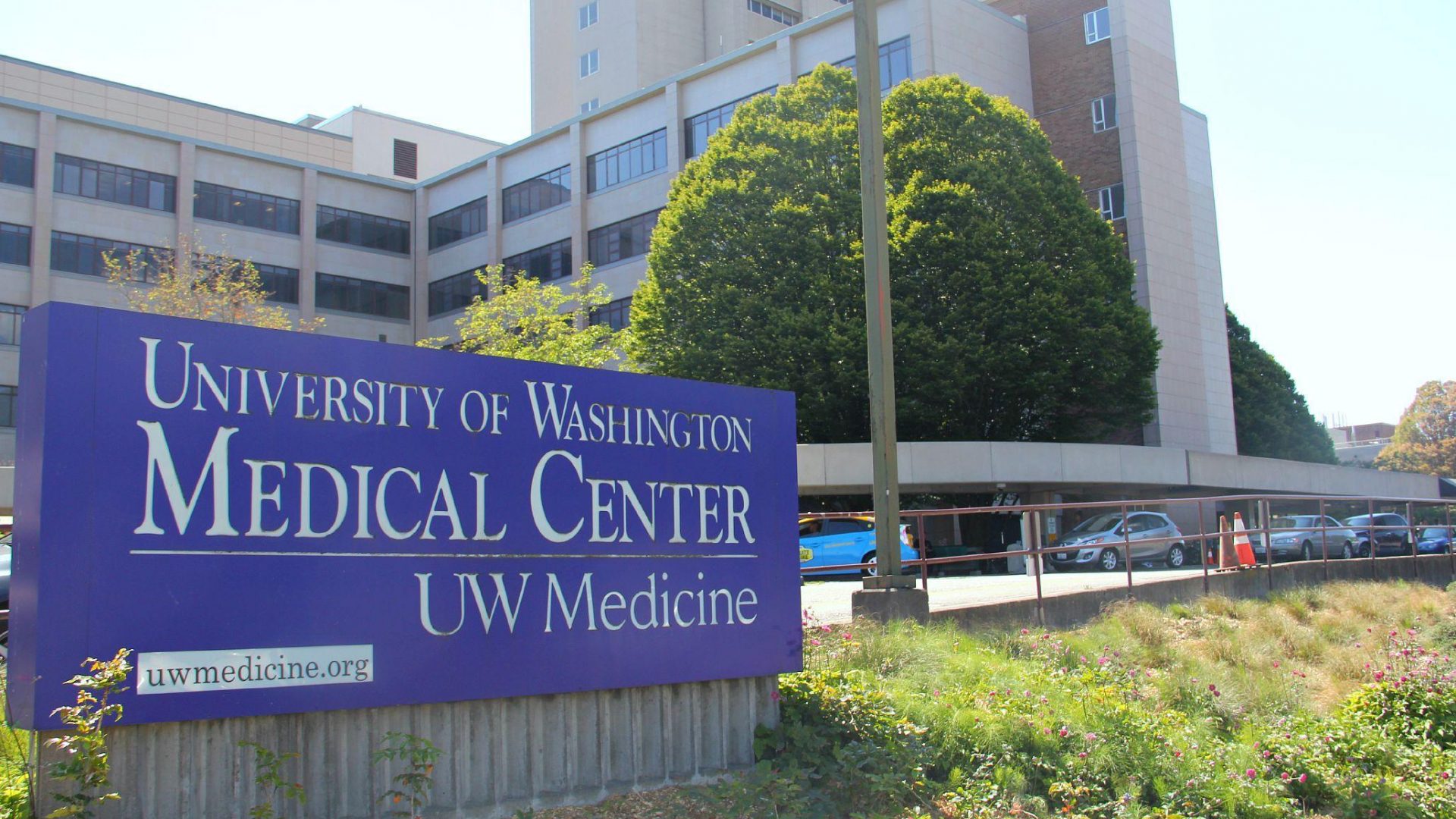 Esophageal Research Fellowship - University of Washington Medicine ...